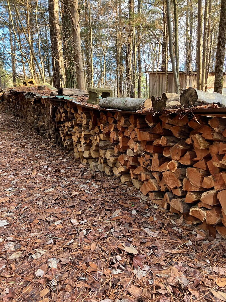 Firewood, Campfire Wood, Solo Stove, Cooking Fuel, Wood, Oak, Oak ...