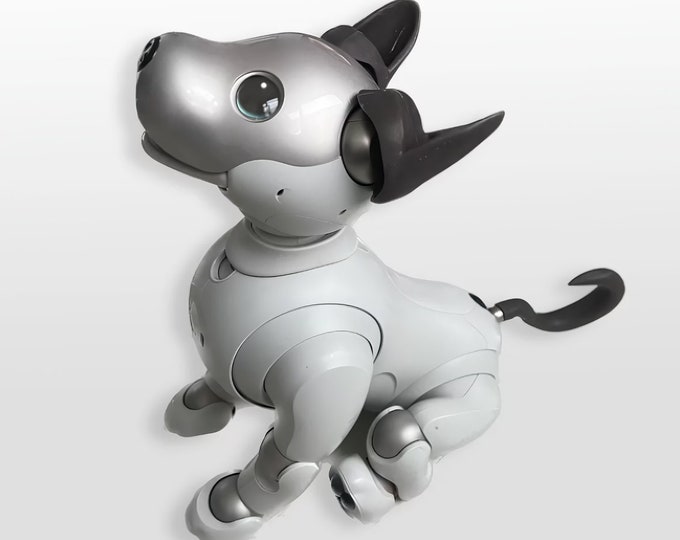 Ortomi Robot Buddy Etsy