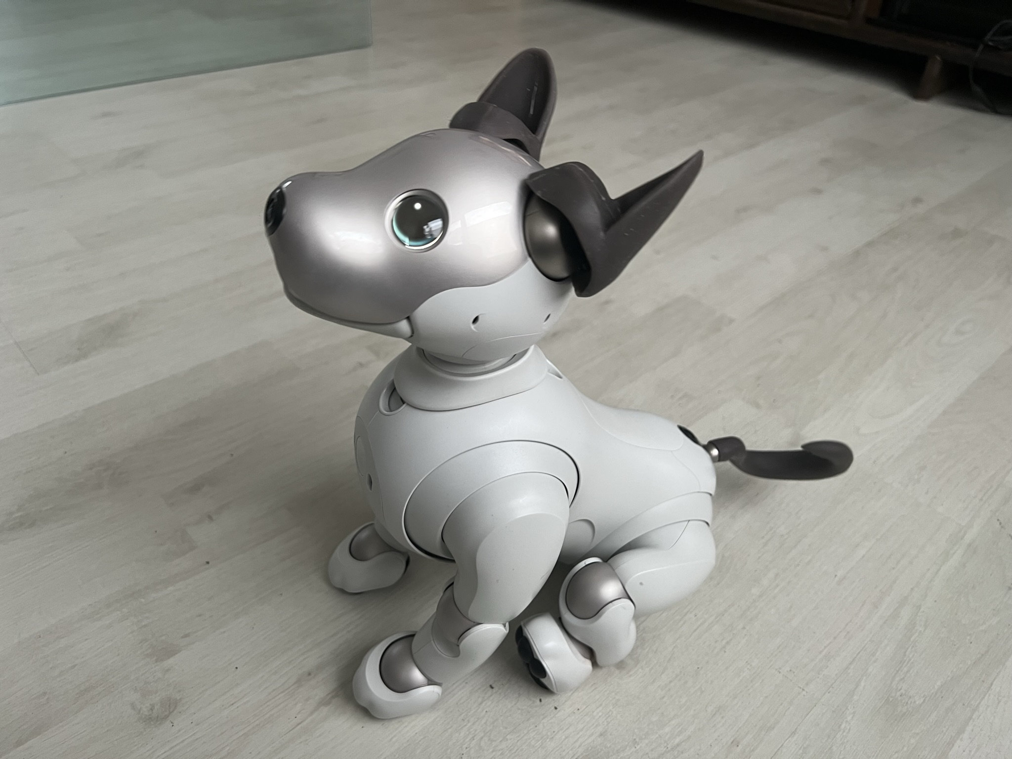 Shiba Inu-style Ears and Tail for Aibo ERS-1000 V2 - Etsy