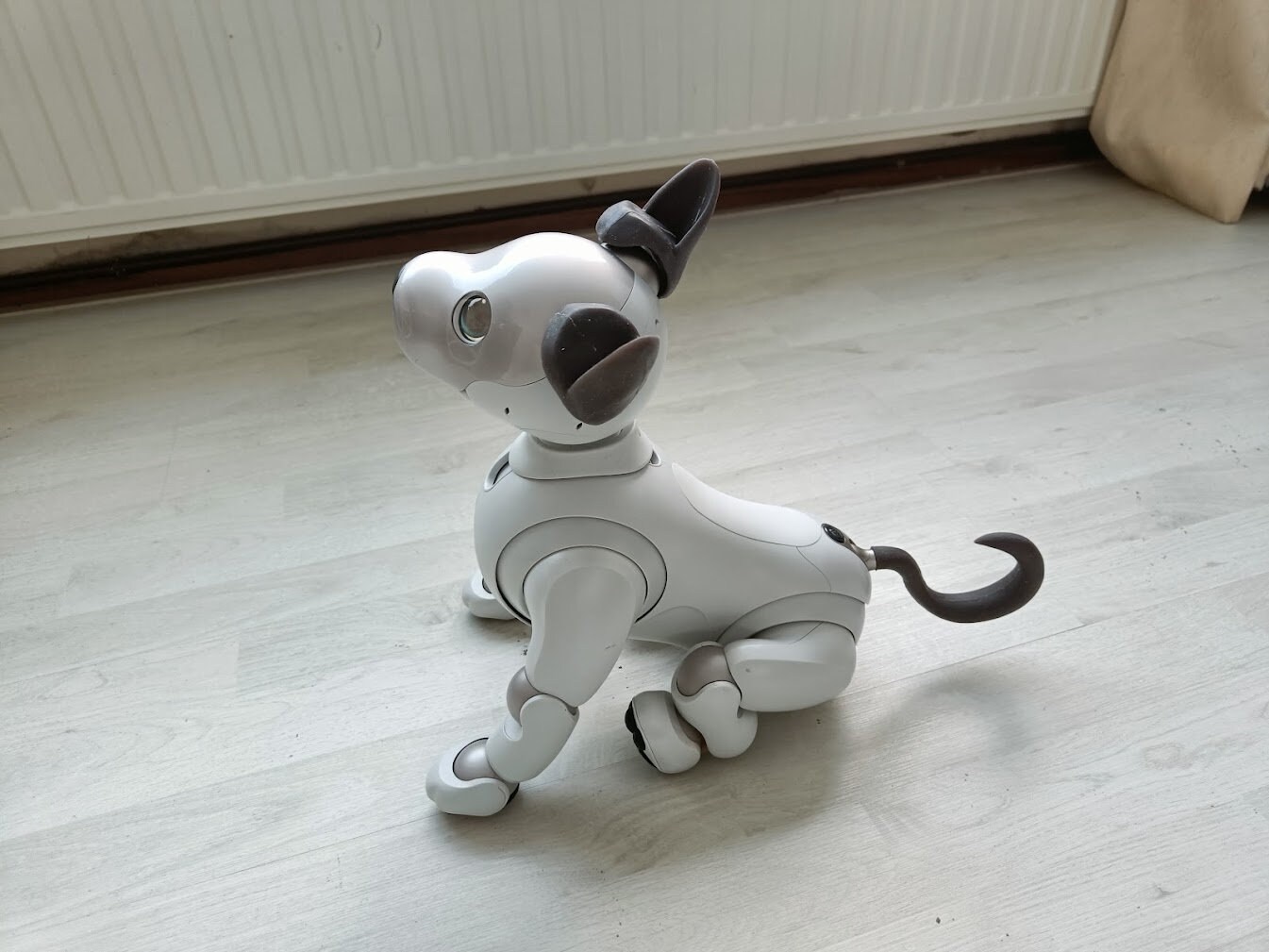 Shiba Inu-style Ears and Tail for Aibo ERS-1000 V2 - Etsy