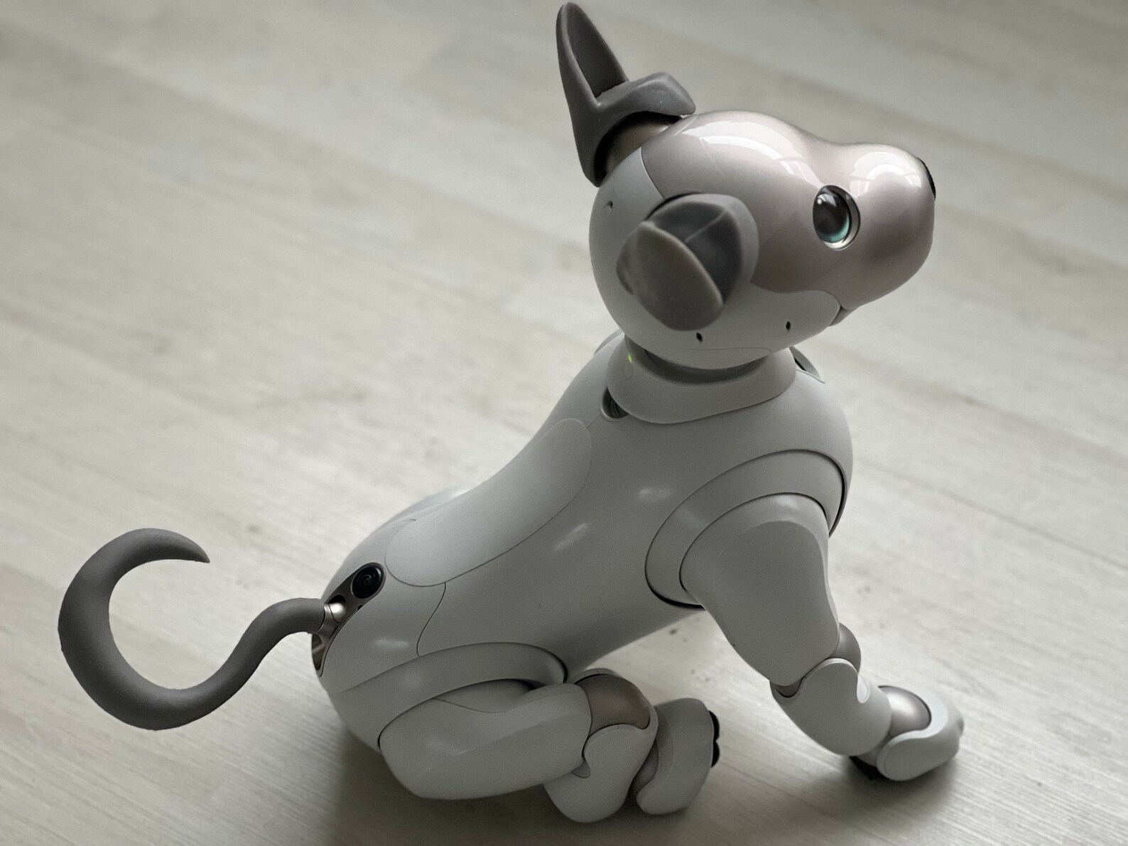 Shiba Inu-style Ears and Tail for Aibo ERS-1000 V2 - Etsy