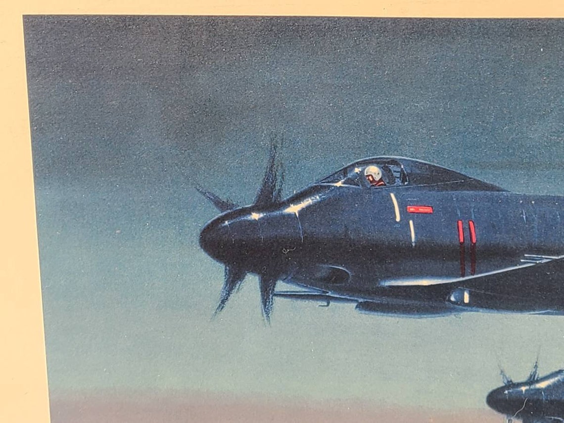 A2D Skyshark Section by R.G. Smith NAVY ART - Etsy