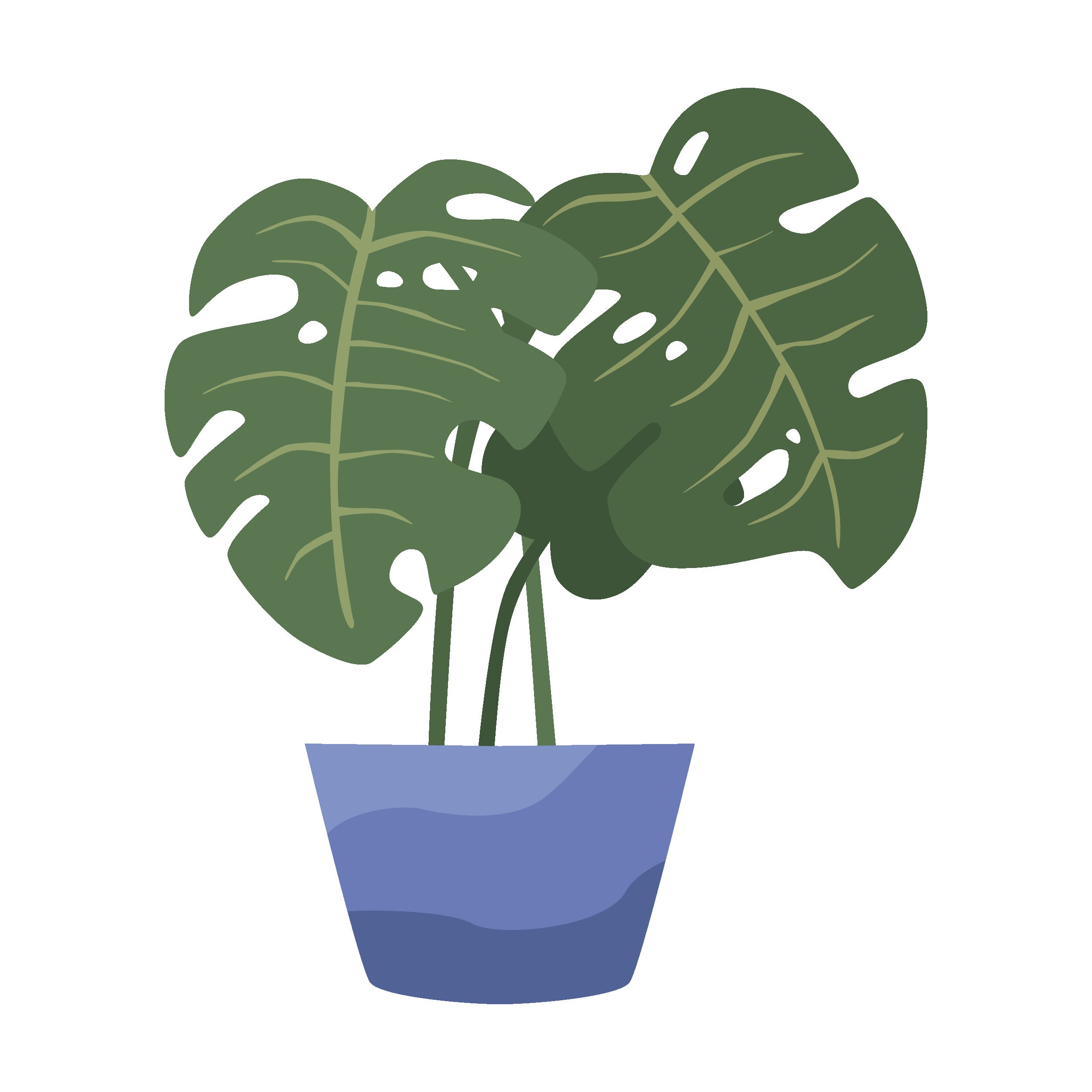 House Plant Pattern DIY House Plant Art Patterns Printable Plant Art ...