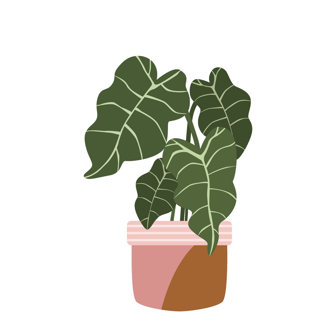 House Plant Pattern| DIY House Plant Art Patterns | Printable Plant Art ...