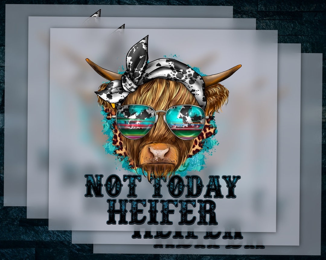 Highland Cow Humor Artwork, Farm and Western Inspired, Turquoise Cactus ...