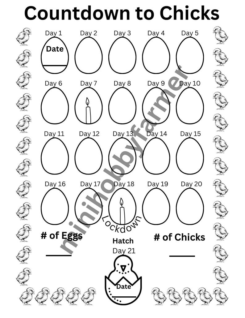Egg Hatching Countdown Chart – Printable Digital Download | Two ...