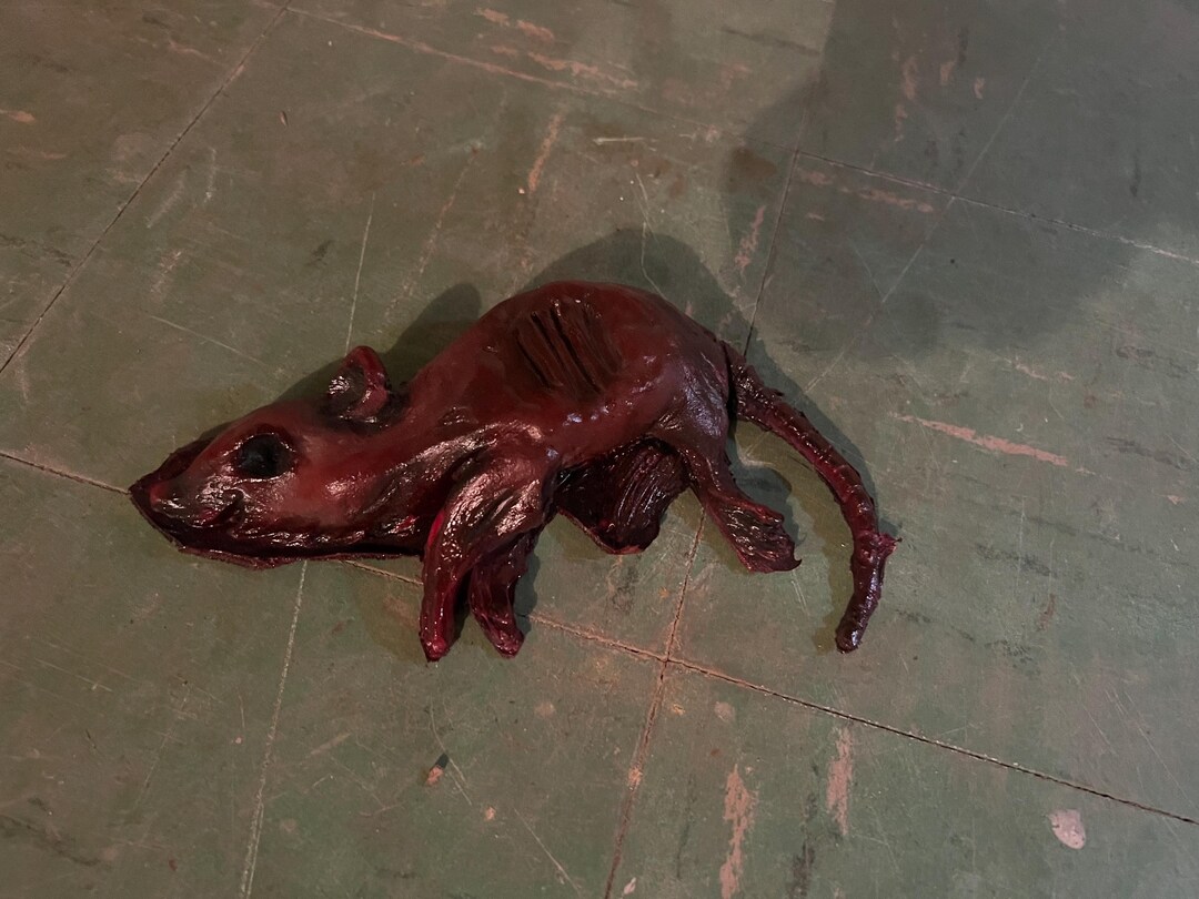 Plague Tail - Dead Rat Haunted House Prop, Halloween Prop, Movie Prop ...