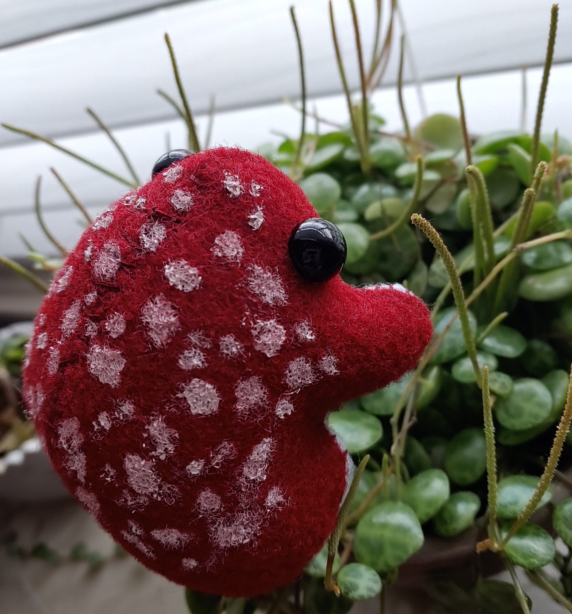 Mushroom Toad Felt Plushie - Etsy