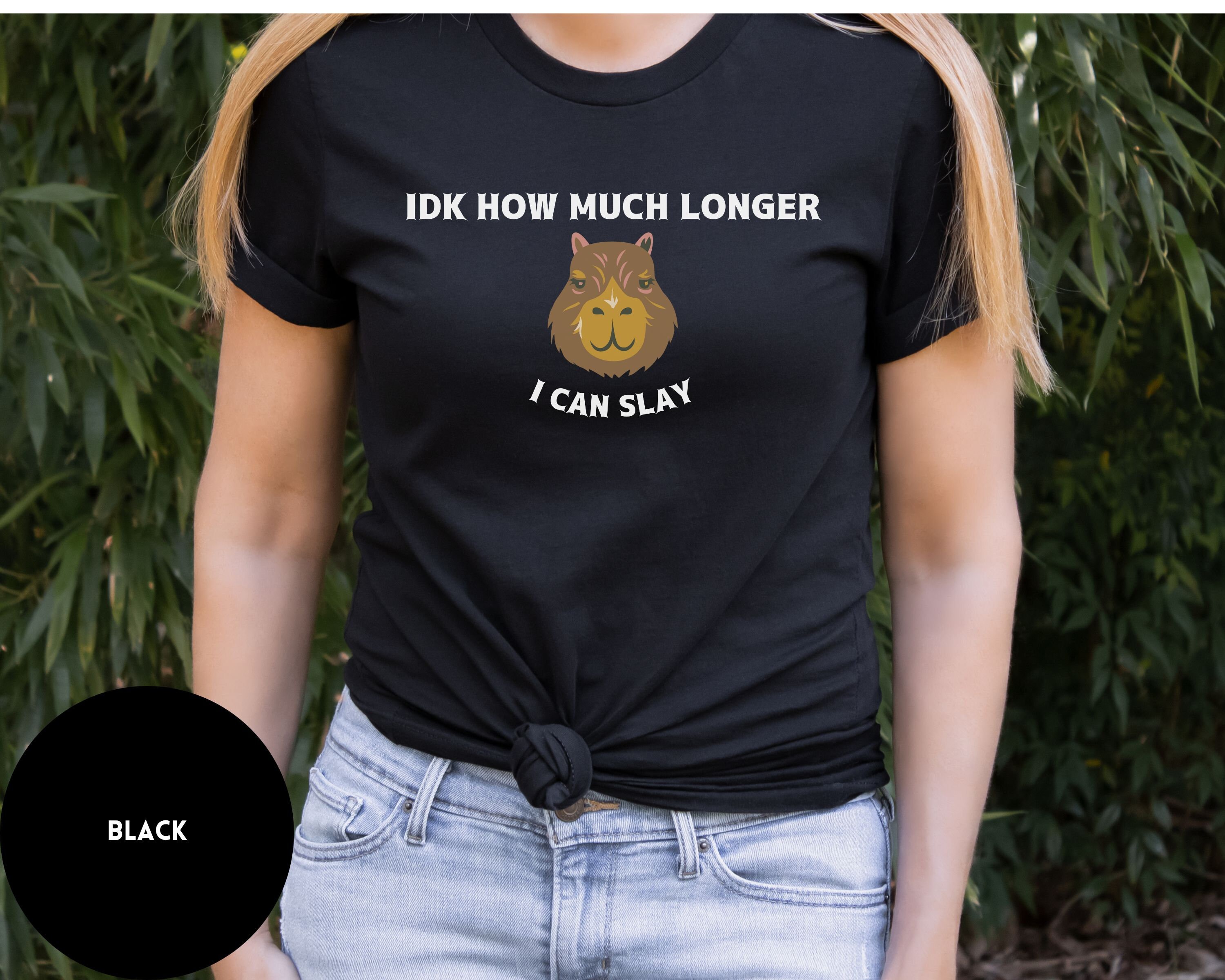 IDK How Much Longer I Can Slay Capybara Shirt, Capybara T Shirt ...
