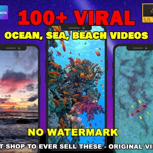 100+ Viral OCEAN, SEA, BEACH Videos Water Underwater Videos for Tiktok ...