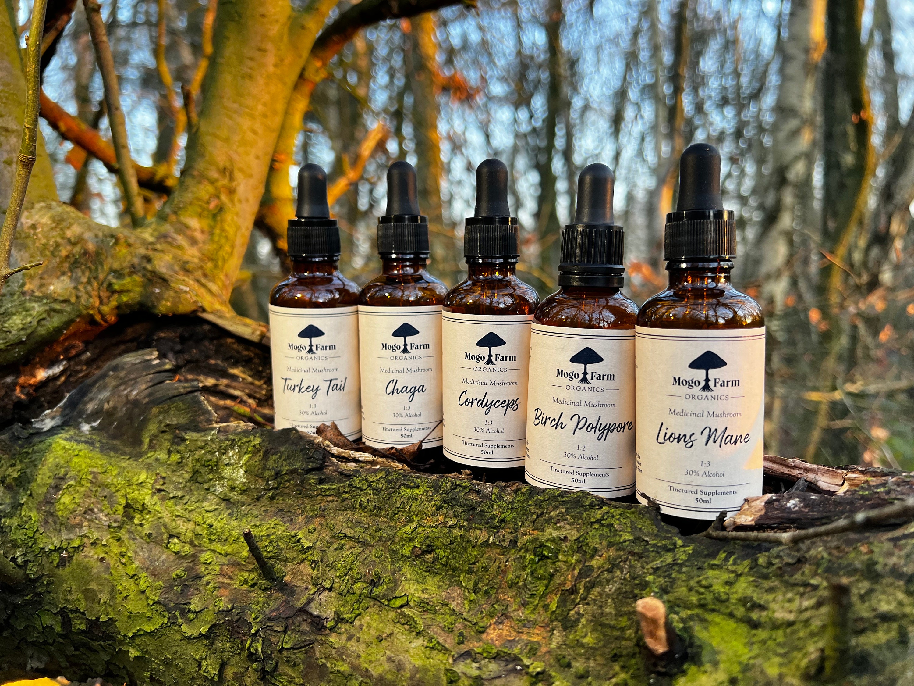 Chaga Mushroom Dual Extraction Tincture 1:3. Organic Vegan Supplement ...