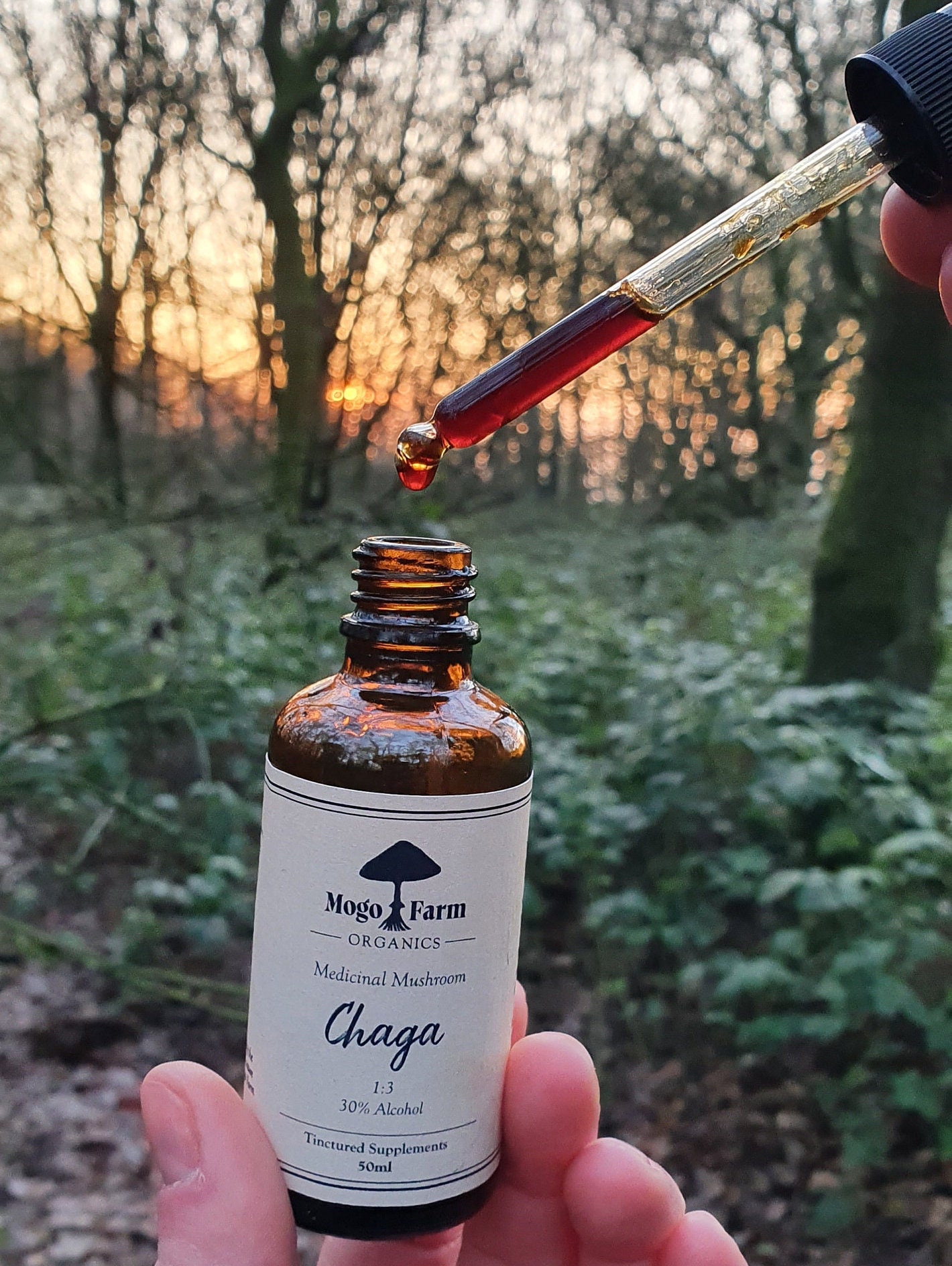 Chaga Mushroom Dual Extraction Tincture 1:3. Organic Vegan Supplement ...