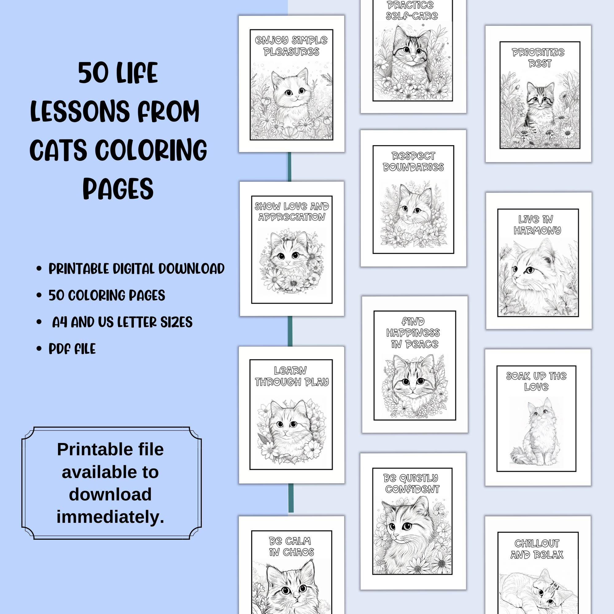 Cat Coloring Book Printable Colouring Pages Cat Lovers Gift Cute ...