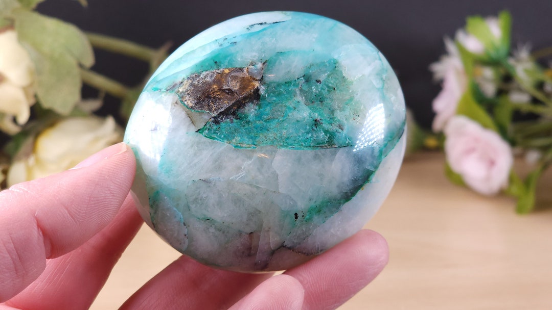 Exceptional Quantum Quattro Palm, High Quality Extra Large Polished ...