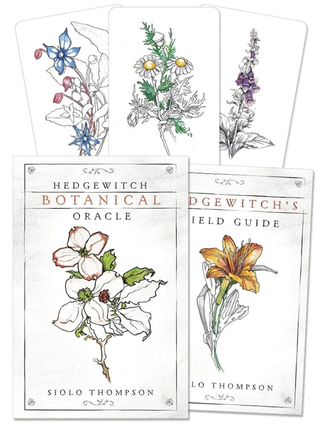 Hedgewitch Botanical Oracle Deck - Etsy