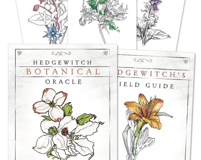 Hedgewitch Botanical Oracle Deck - Etsy
