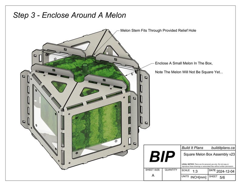 Square Watermelon Mold Cut Files - DIY Melon Cube - Etsy