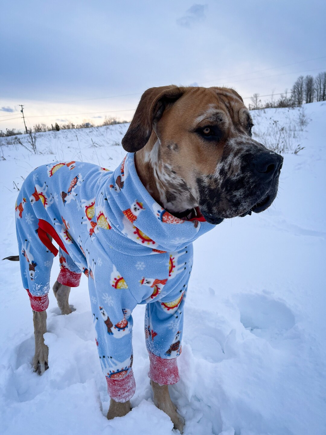 Dog Pjs Warm Dog Clothing Large Dog Pyjamas Blue Dog Pajamas - Etsy