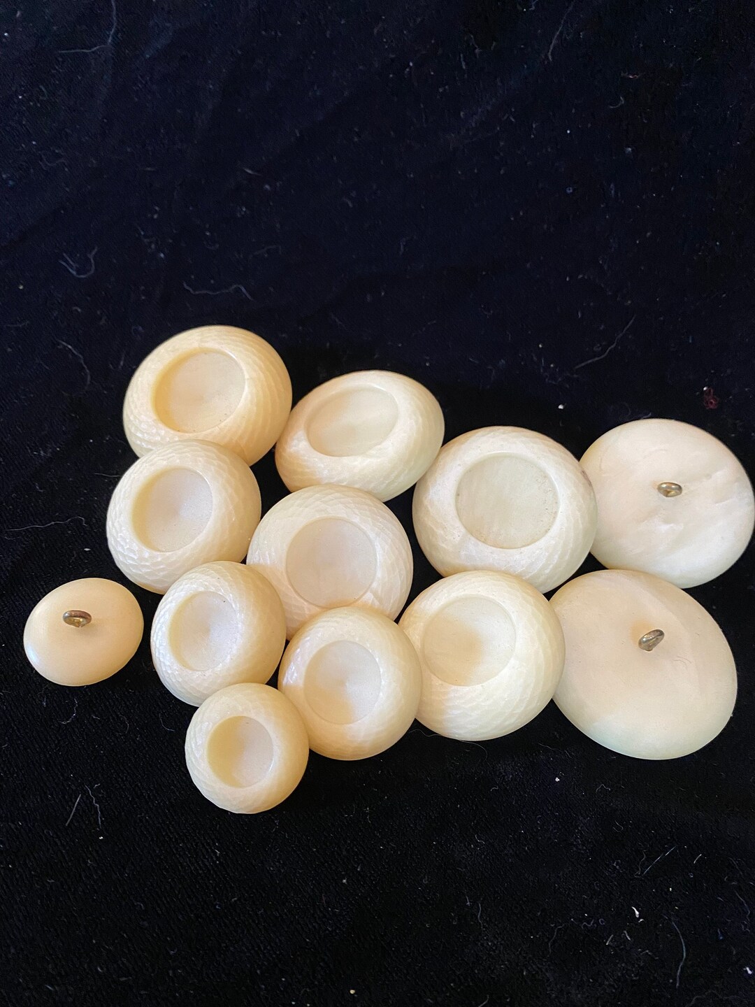 Antique 1880s Moose and Cow White Woodland Bone Buttons - Etsy