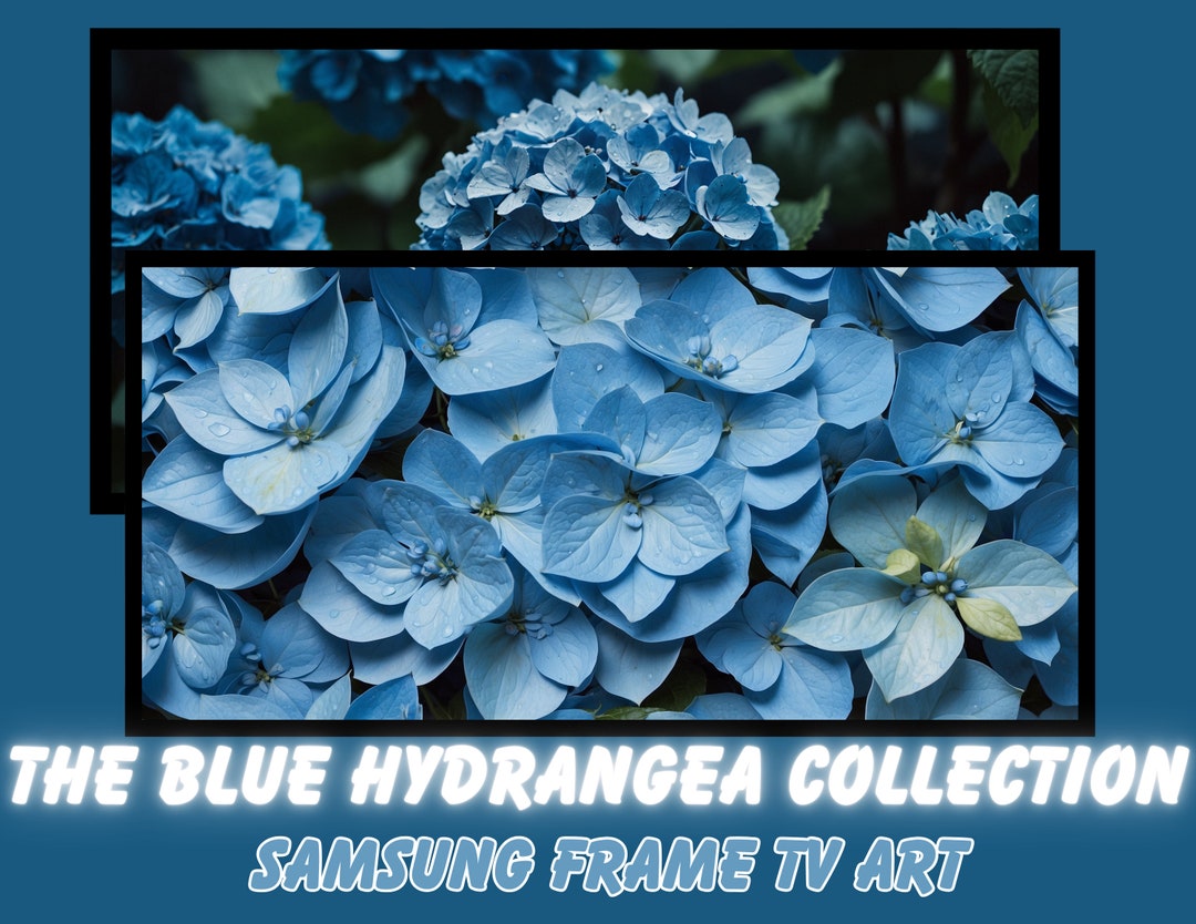 Blue Hydrangea Collection | Digital Art for Samsung Frame TV | Desktop Wallpapers | 12 High-res ...