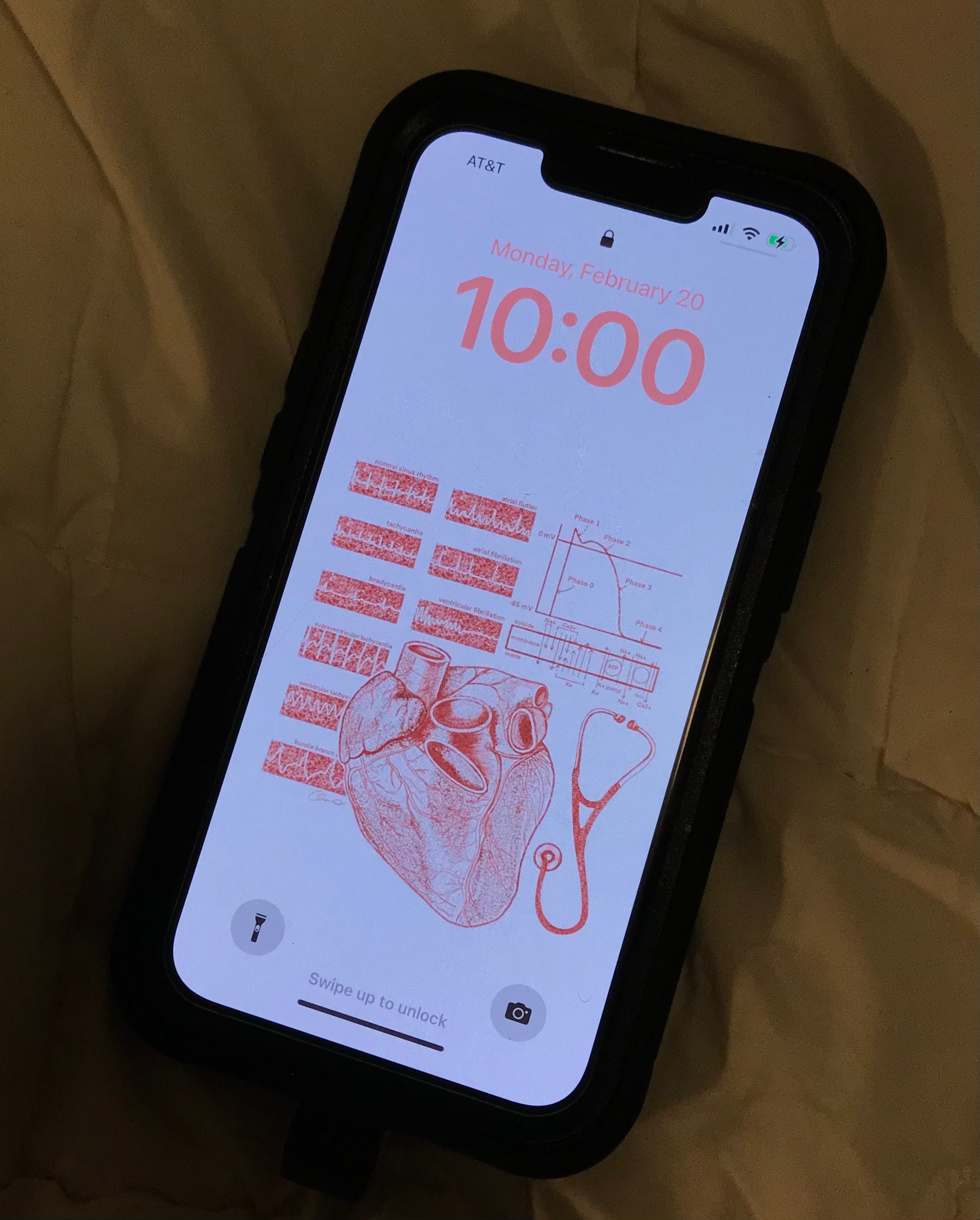 Cardiology/heart Anatomy iPhone Wallpaper & Background (WHITE ...