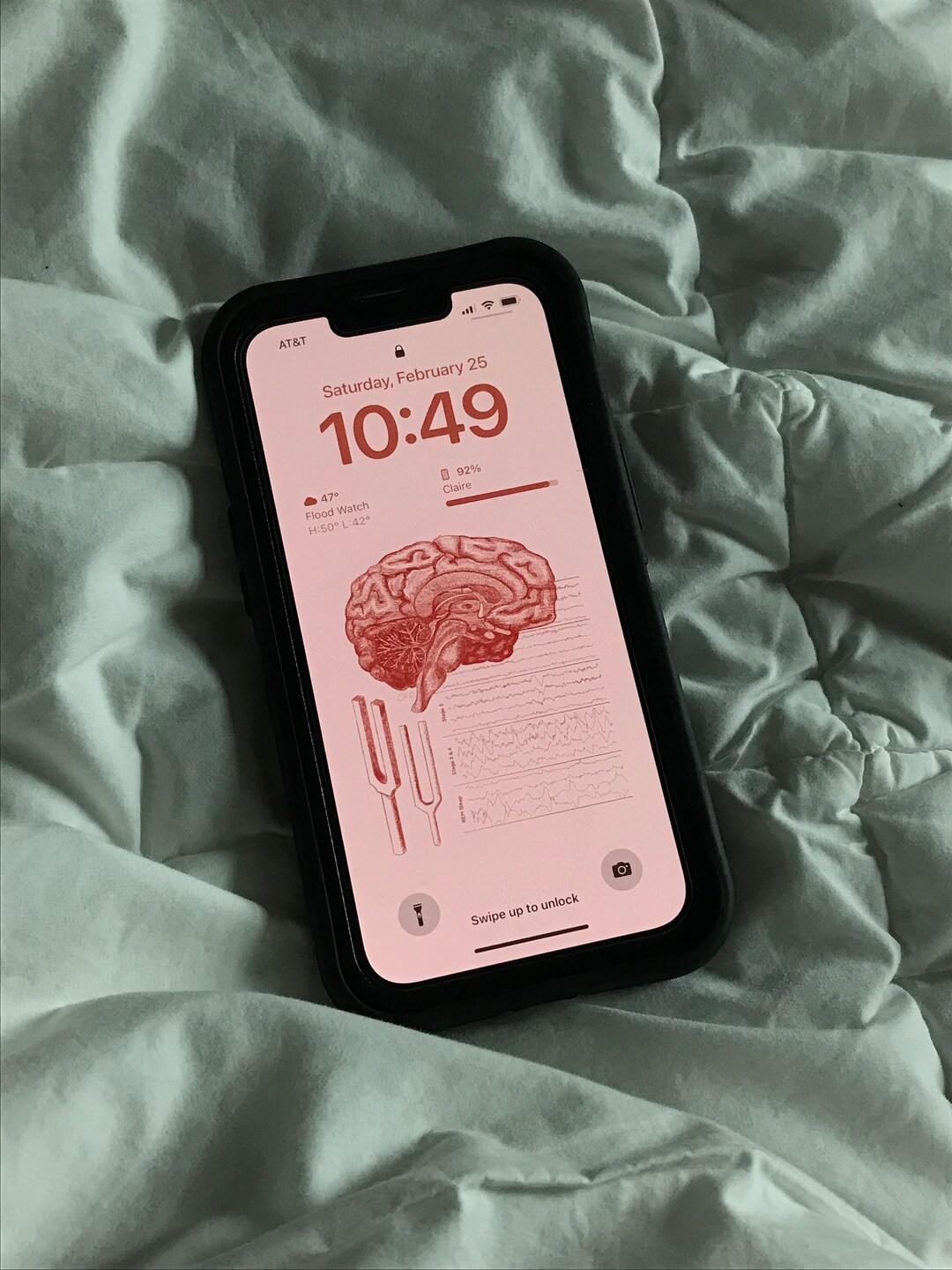 Neurology/brain Anatomy iPhone Wallpaper (red With Light Tan Background ...