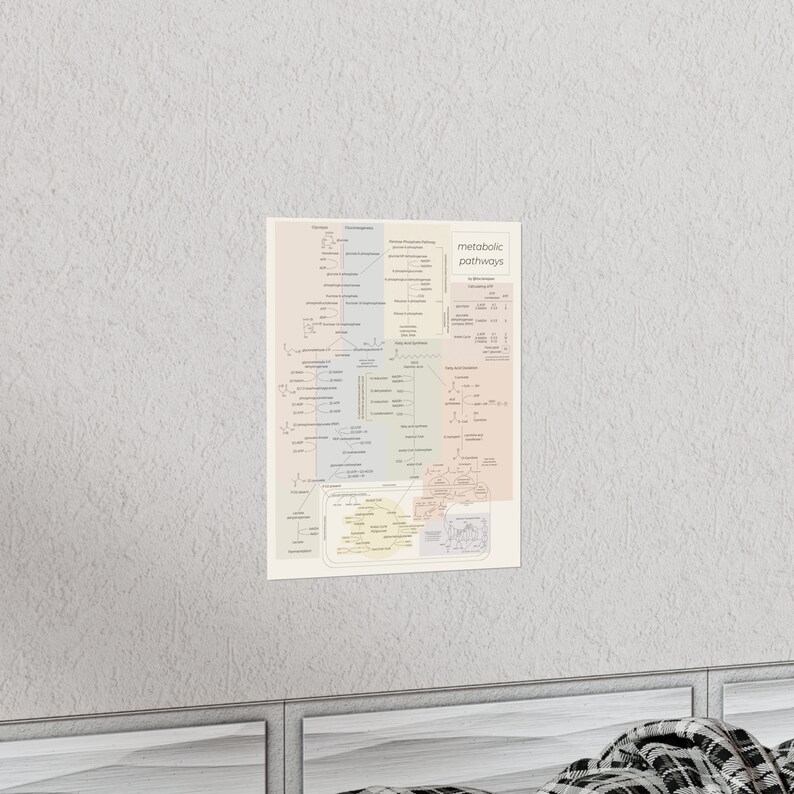 All Metabolic Pathways Physical Poster - Etsy
