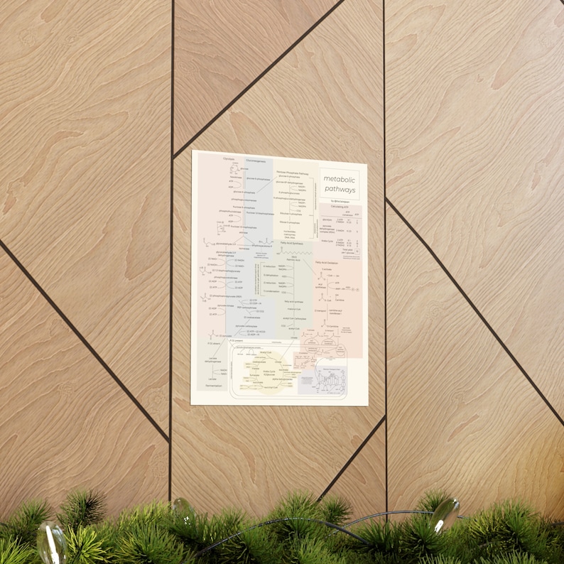 All Metabolic Pathways Physical Poster - Etsy