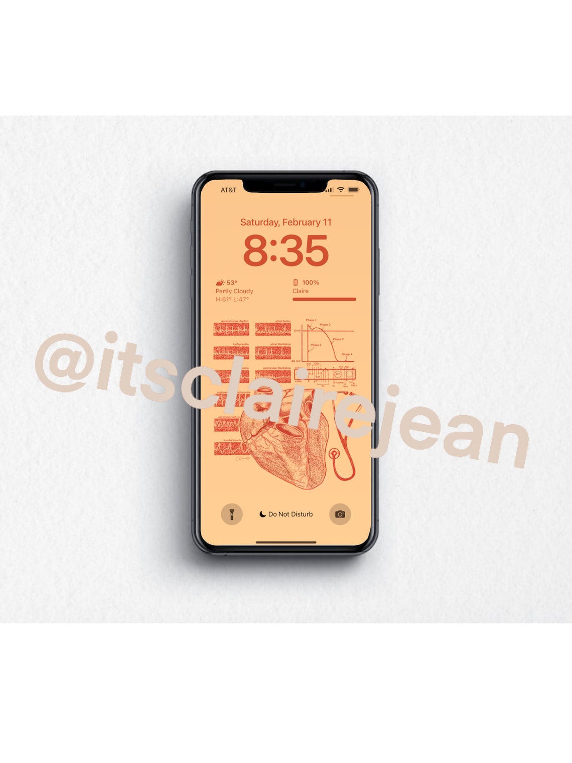 Cardiology/heart Anatomy iPhone Wallpaper & Background (ORANGE/BEIGE ...