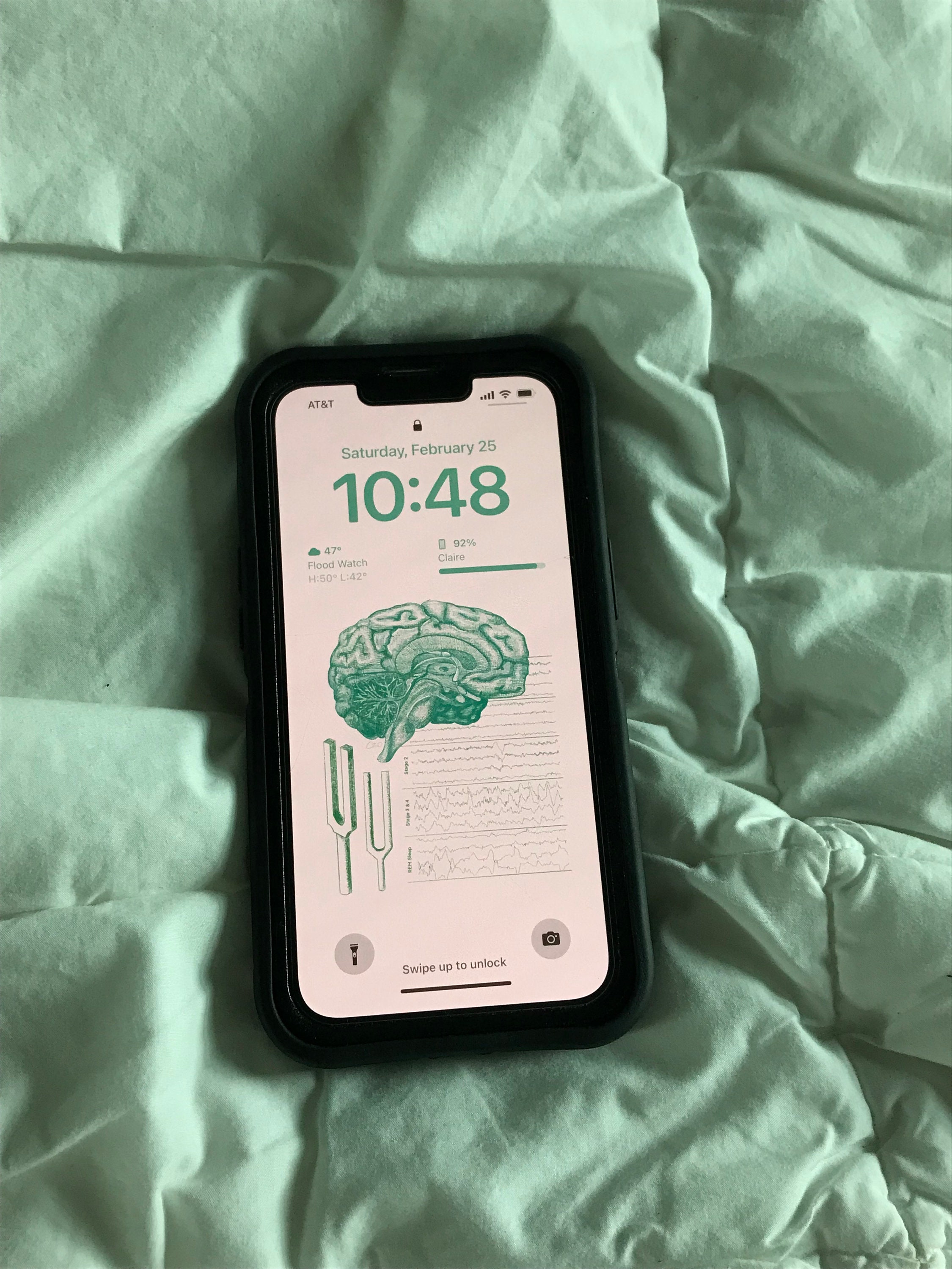 Neurology/brain Anatomy iPhone Wallpaper (green With Light Tan ...