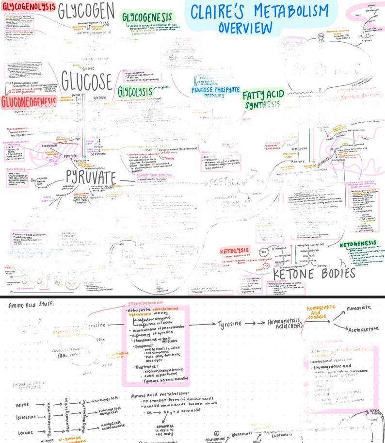 Metabolic Pathways for First Year Medical School Biochemistry Unit With ...