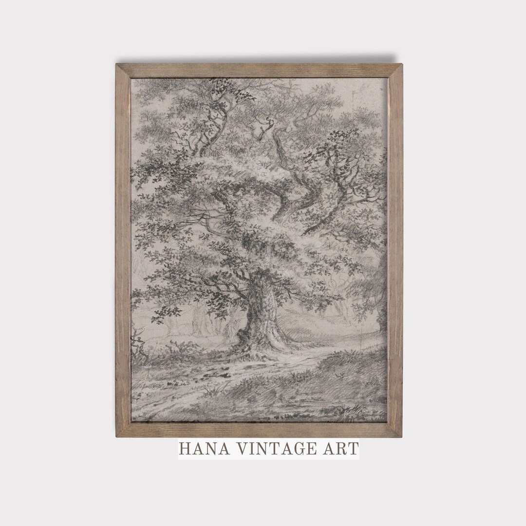Vintage Tree Art Rustic Tree Sketch Neutral Wall Decor Tree Drawing ...