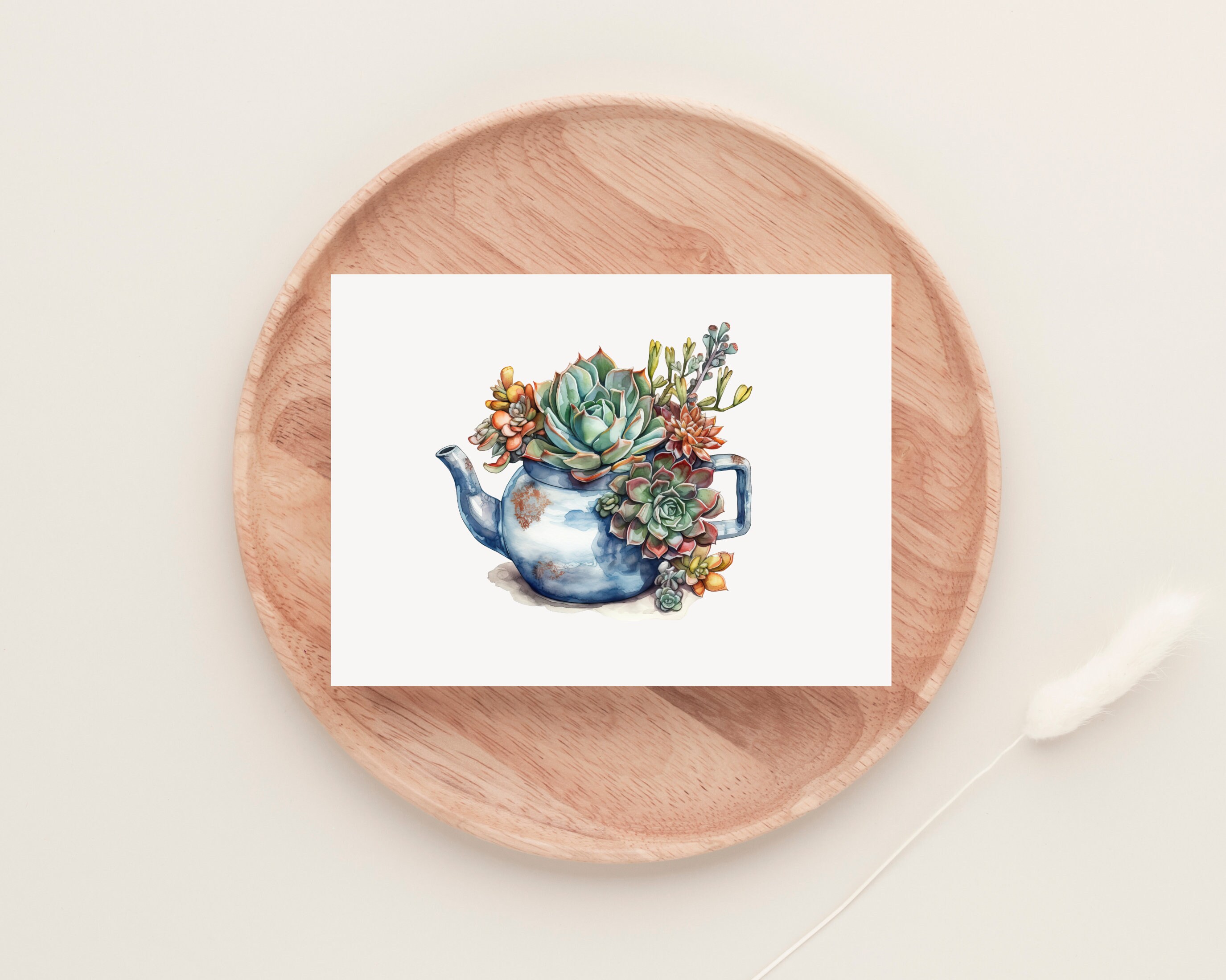 Printable Teacup Succulent Clipart 7 Digital Illustrations of - Etsy
