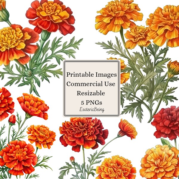 Marigold Print - Etsy