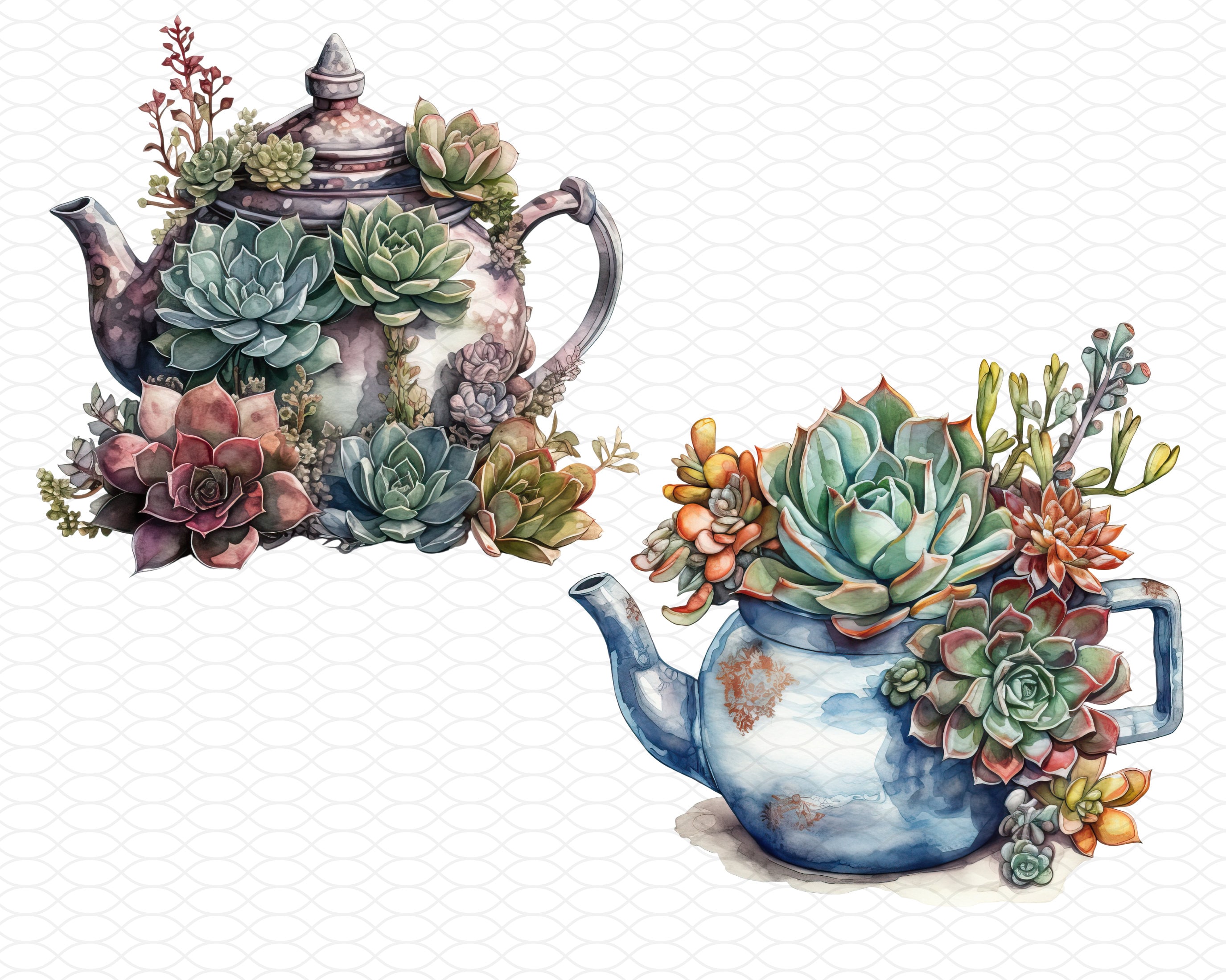 Printable Teacup Succulent Clipart 7 Digital Illustrations of - Etsy