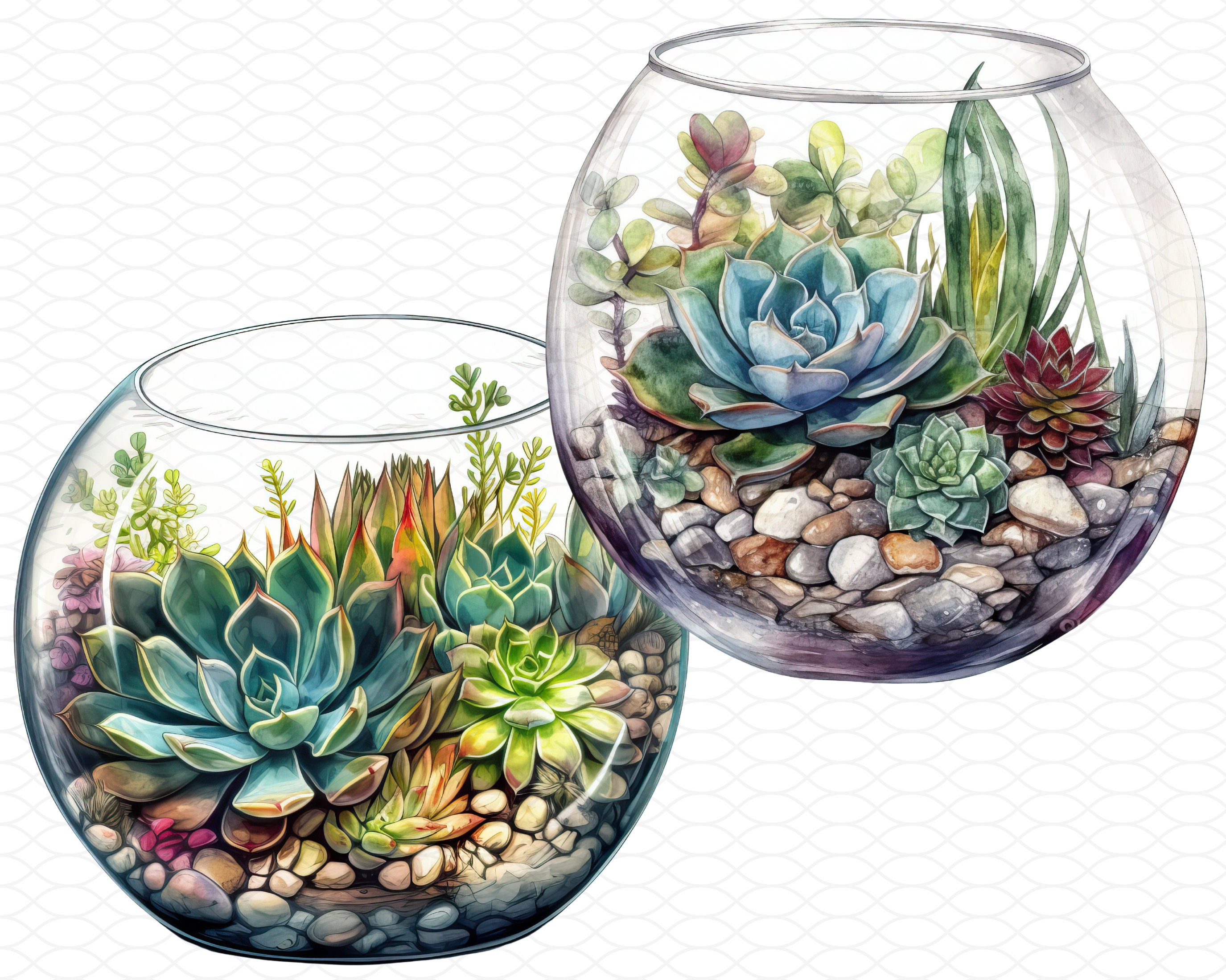 Printable Terrarium Clipart 4 Png Digital Downloads - Etsy