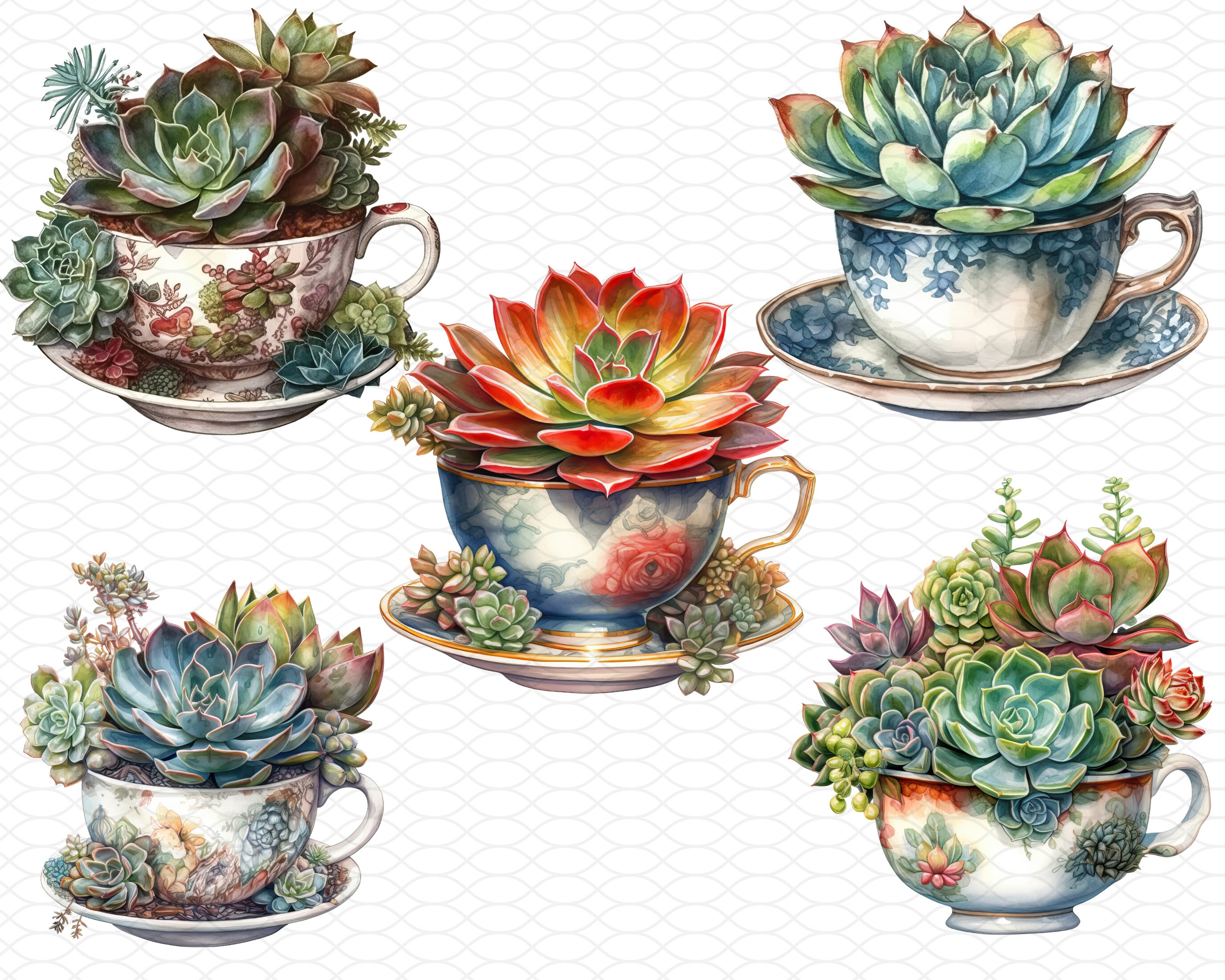 Printable Teacup Succulent Clipart 7 Digital Illustrations of - Etsy