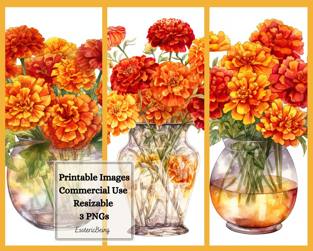 Printable Marigold Clipart, Instant Digital Download, Marigold Print ...