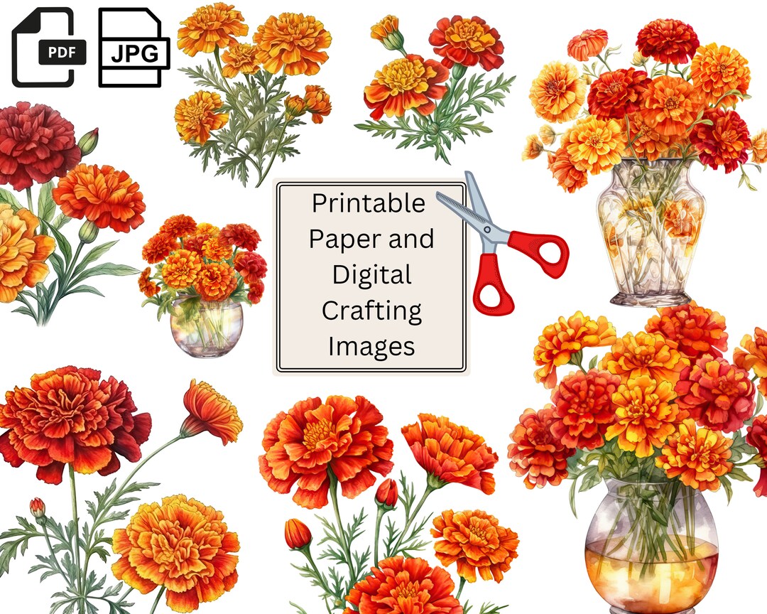 JPG Printable Marigold Clipart, Instant Digital Download, Marigold ...