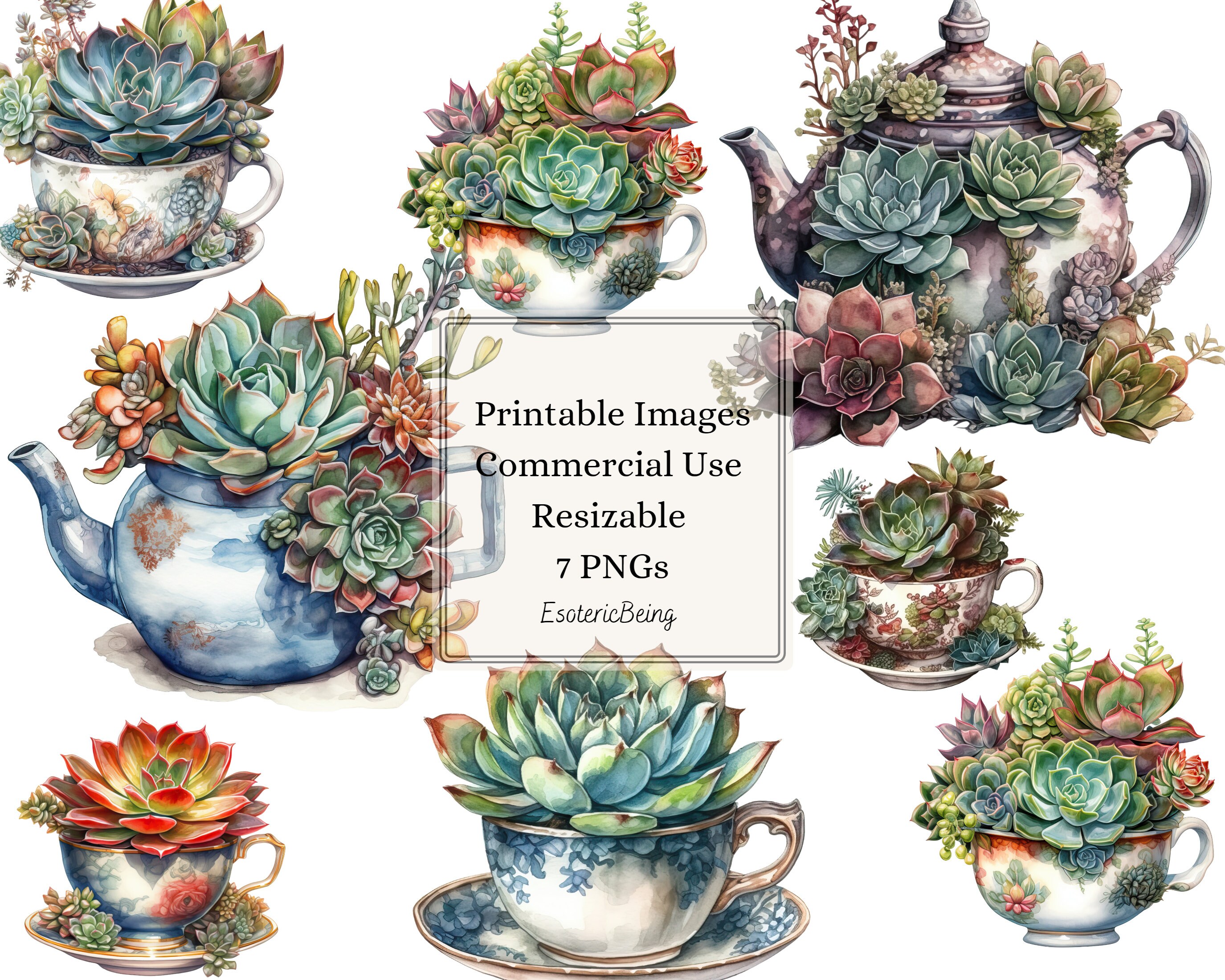 Printable Teacup Succulent Clipart 7 Digital Illustrations of - Etsy