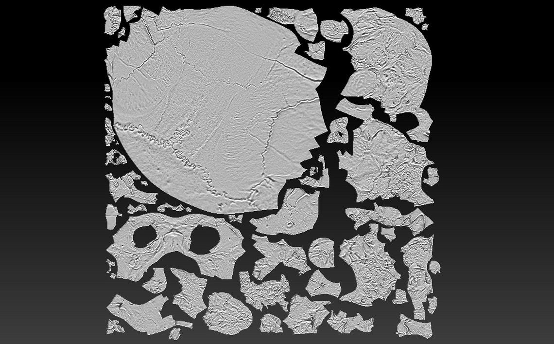 Human Skull - 3D Scan - Rebuilt Topology - UV Unwrapped - Royalty Free ...