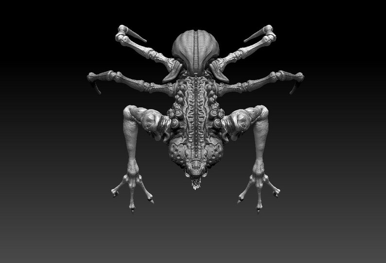 Spider Monster, Stl, Animation, 3D Print, Zbrush, Substance Painter ...
