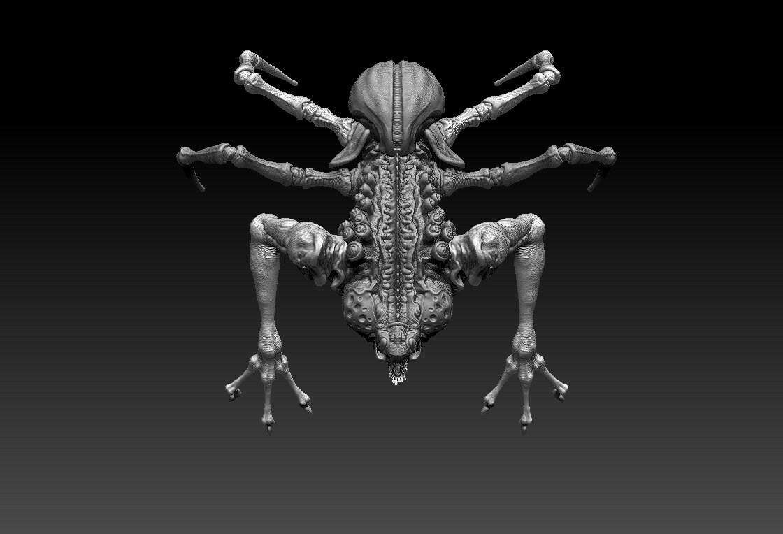 Spider Monster, Stl, Animation, 3D Print, Zbrush, Substance Painter ...