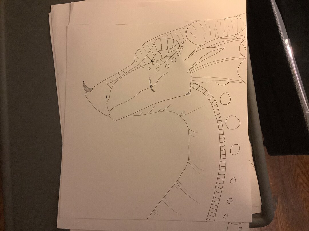 Wings of Fire Color Yourself Drawing Dragon Paper Drawing ORIGINAL BY ...