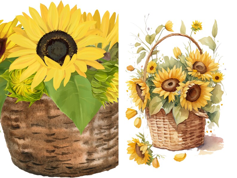 30 Sunflower Flowers PNG, Watercolor Floral Clipart Bouquets,watercolor ...