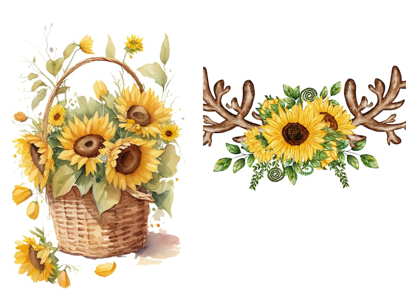 30 Sunflower Flowers PNG Watercolor Floral Clipart - Etsy