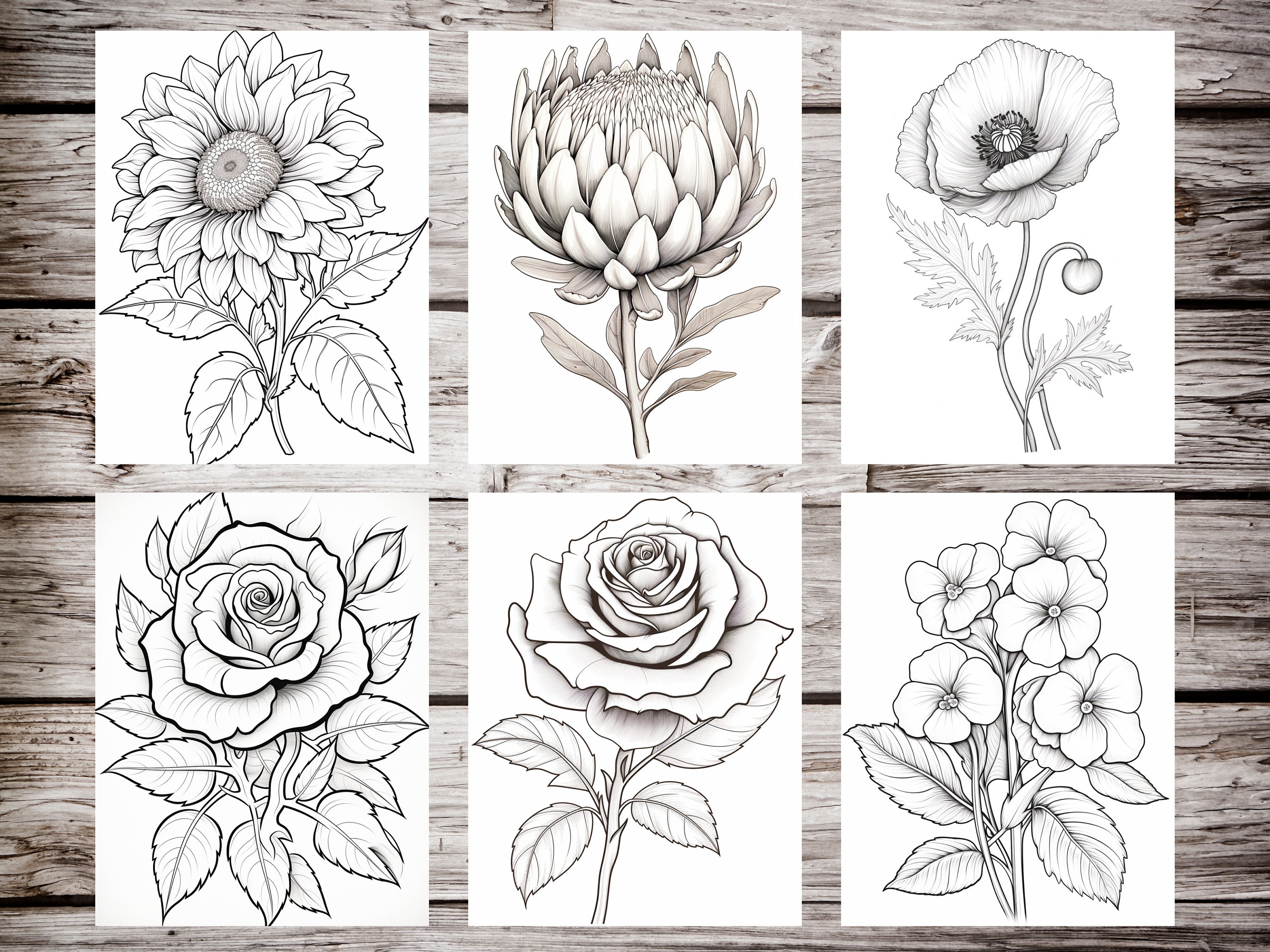 55 Printable Flower Coloring Pages, Coloring Book,adults & Kids ...