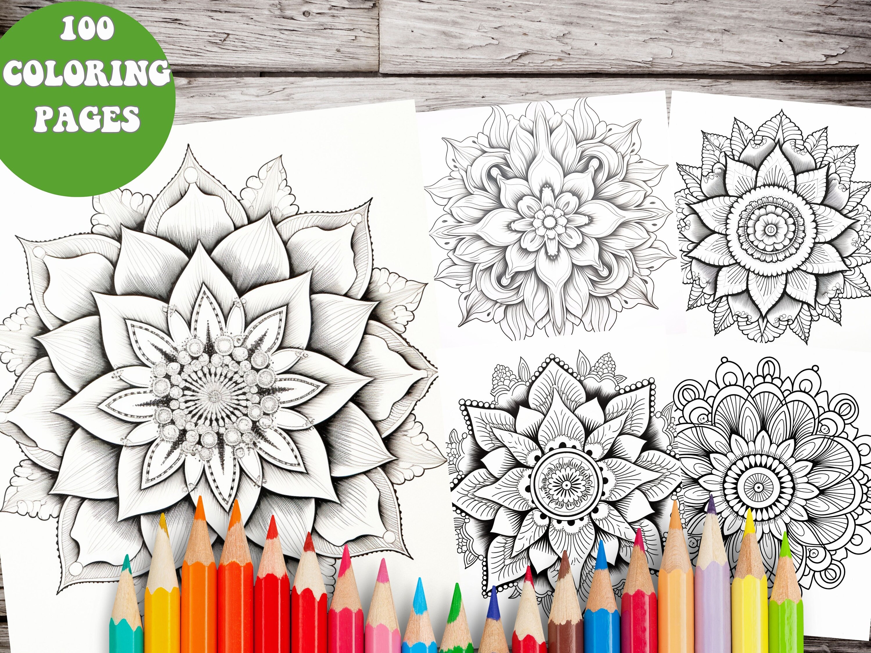 100 Mandala Coloring Pages,adults,kids,printable Mandala Coloring ...