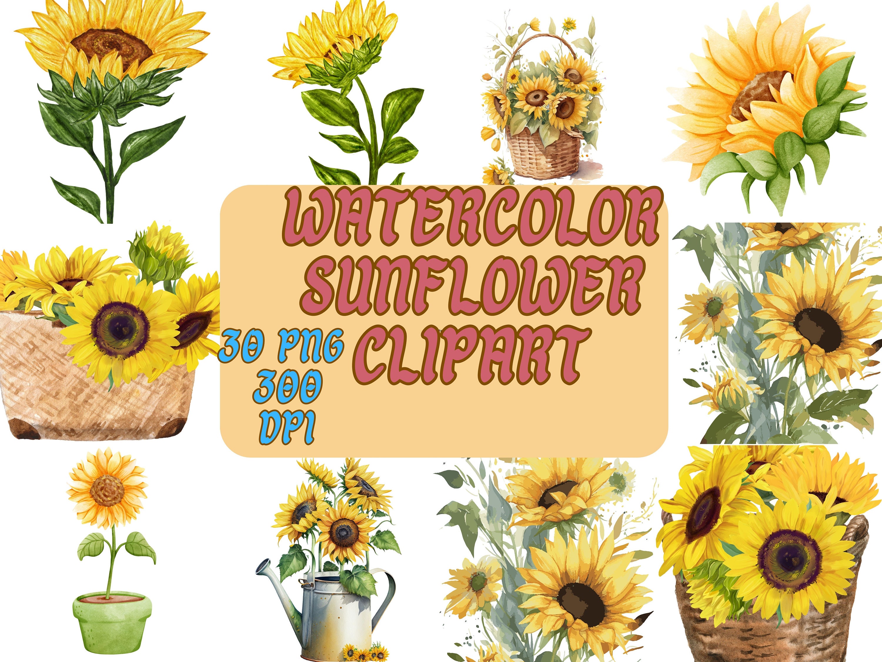 30 Sunflower Flowers PNG, Watercolor Floral Clipart Bouquets,watercolor ...
