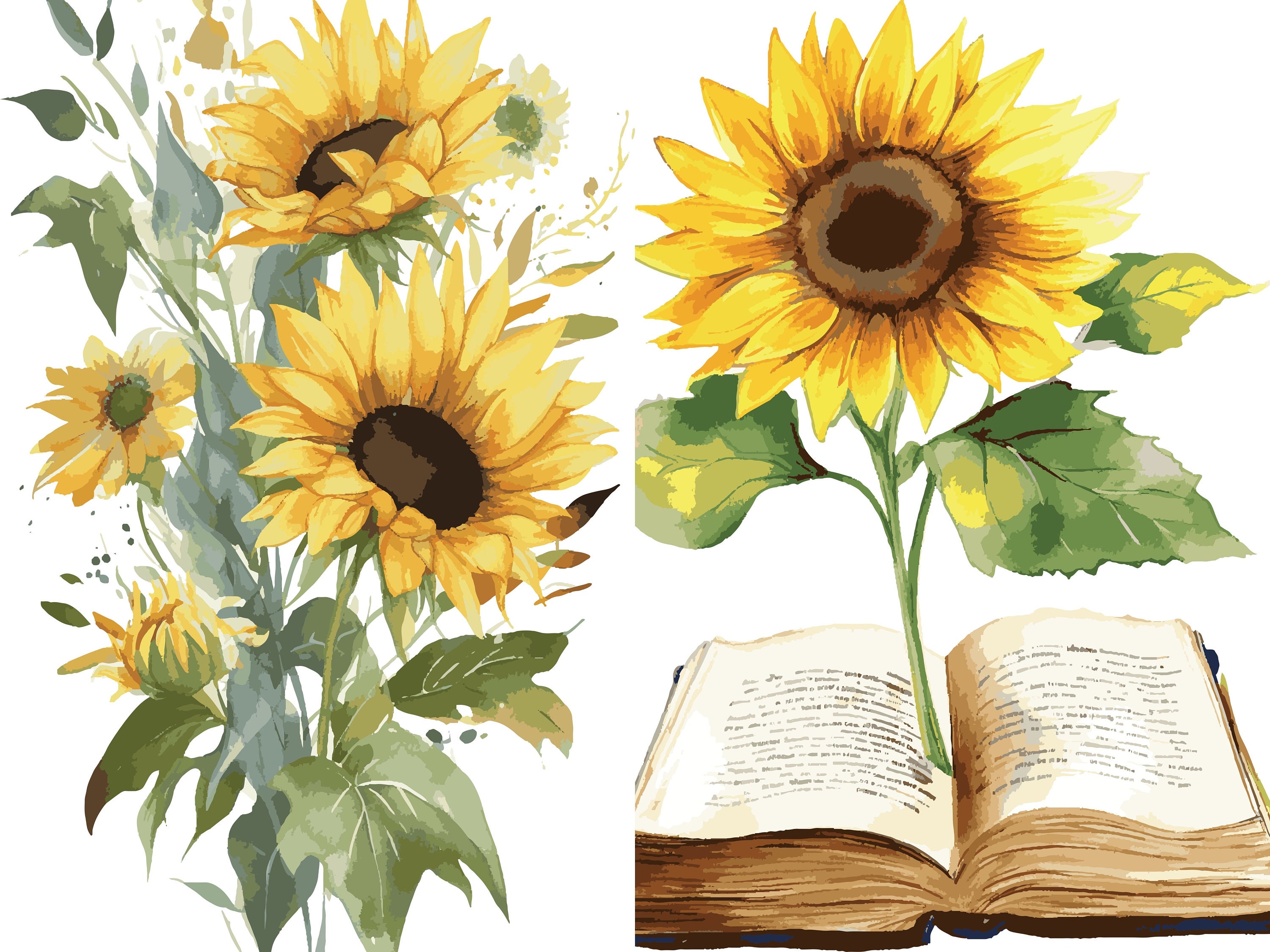 30 Sunflower Flowers PNG, Watercolor Floral Clipart Bouquets,watercolor ...